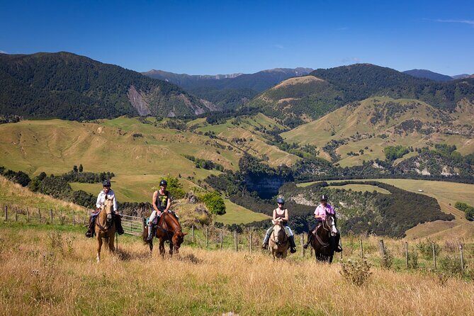 High Country Enchantment Full-Day Horse Trek - Key Points