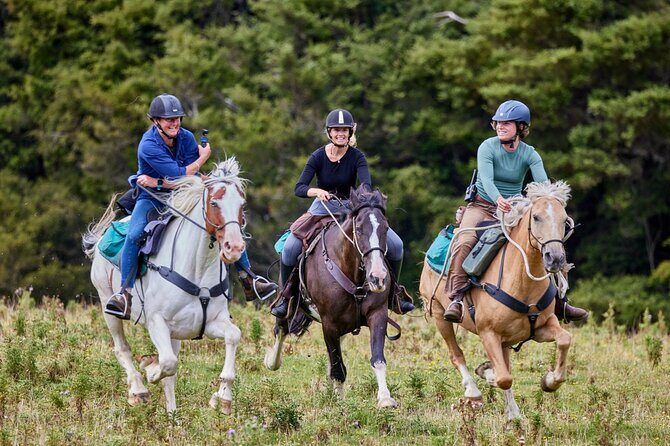 High Country Enchantment Full-Day Horse Trek - What You Can Expect from the High Country Enchantment Horse Trek