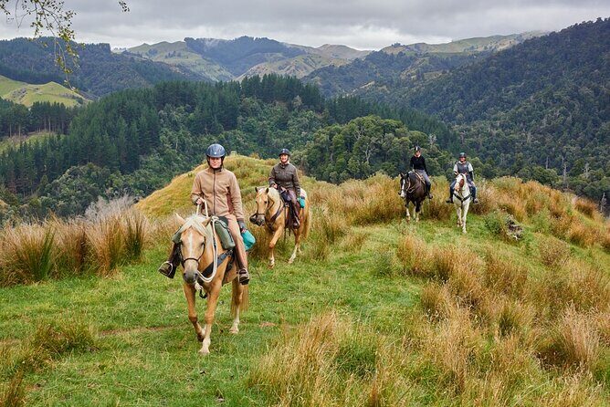 High Country Enchantment Full-Day Horse Trek - Final Thoughts: Who Is This Tour Perfect For?