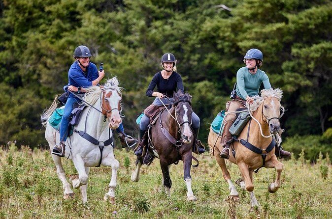 High Country Enchantment Full-Day Horse Trek - FAQs