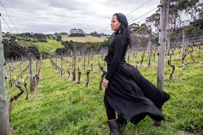 High End Sommelier Tour on Waiheke Island - What You Can Expect from the Tour