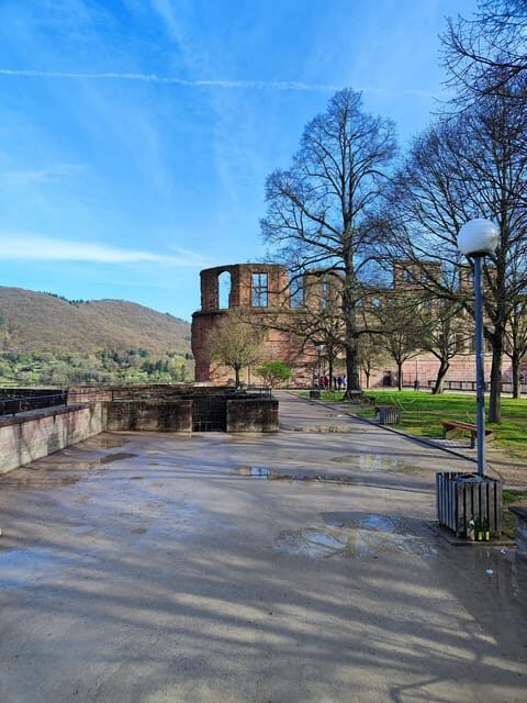 High Lights of Heidelberg - Private Tour of Castle and Town - Introduction to the Tour