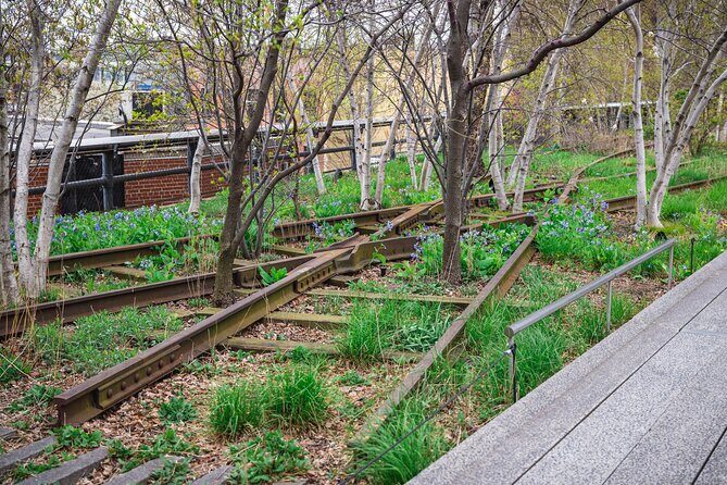 High Line and Chelsea Market 3 Hour Private Tour - The Meatpacking District: Grit Meets Glamour