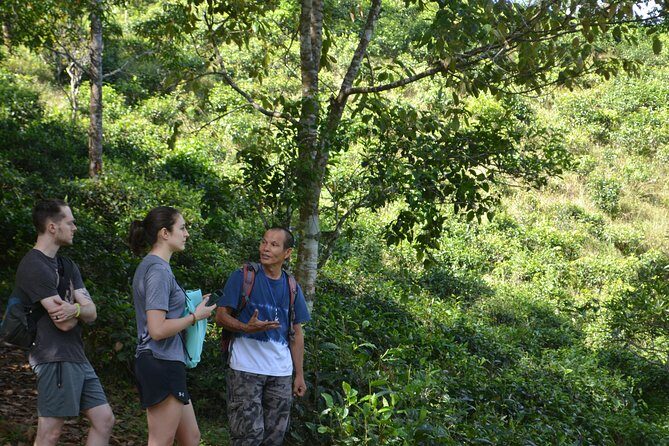 High Mountain Day Trek - Who Should Consider This Tour?