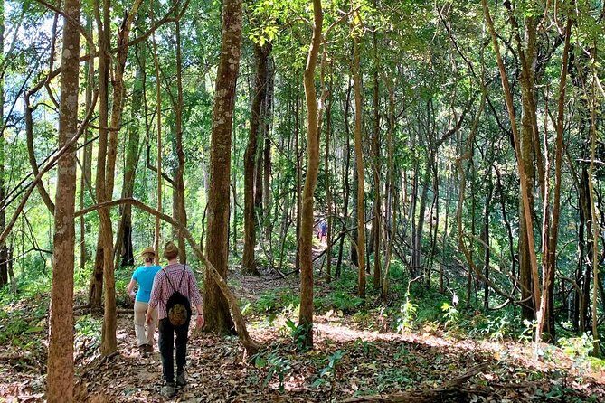 High Mountain Day Trek - Final Thoughts: Why This Trek Is Worth Your Time
