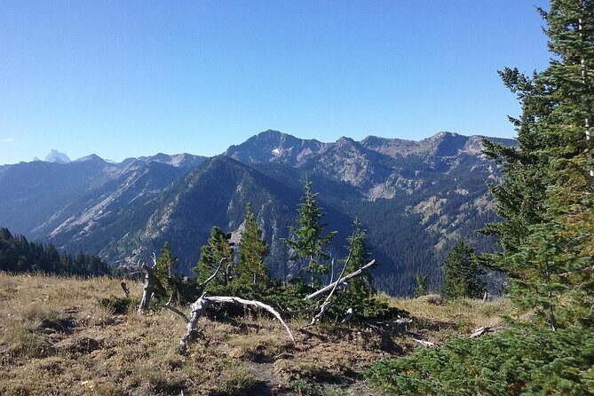 High Mountain scenic trail rides in the Teton Range - Exploring the High Mountain Scenic Trail Rides in the Teton Range