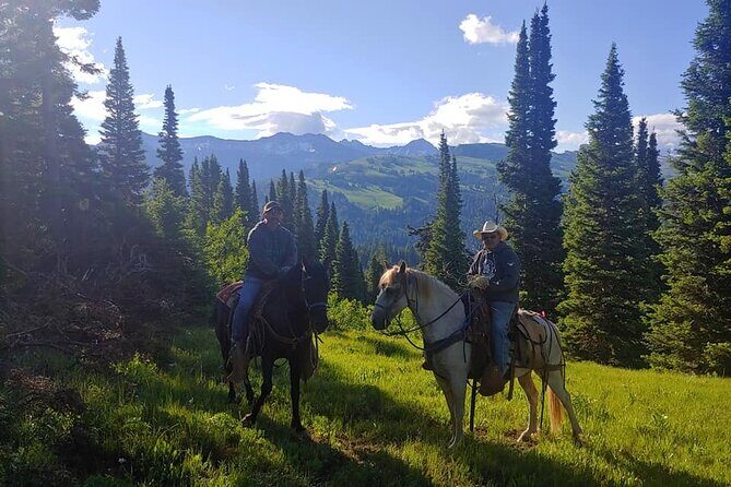 High Mountain scenic trail rides in the Teton Range - What Travelers Say