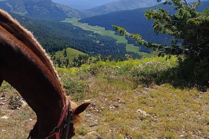 High Mountain scenic trail rides in the Teton Range - Who Would Love This Tour?