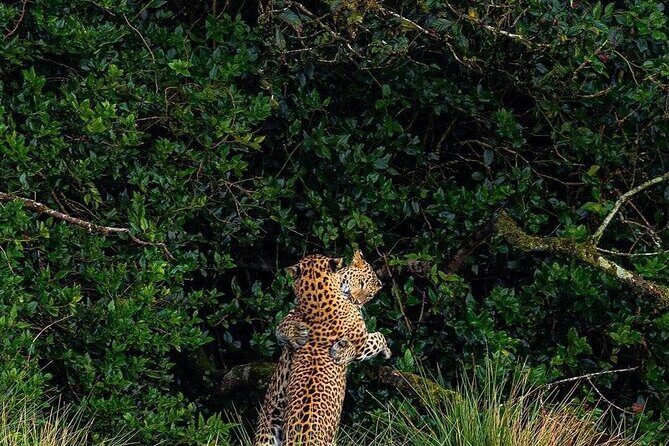 High recommended multi-day customizable Sri Lanka tours - An In-Depth Look at the Itinerary