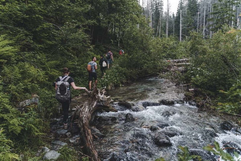High Tatras: Bearwatching Hiking Tour in Slovakia - FAQs
