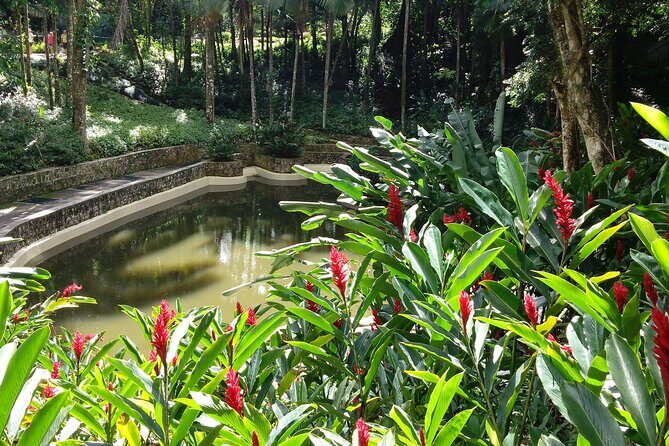 Highest Point Views & Historic Town - Amber Cove and Taino Bay - Authenticity and Value