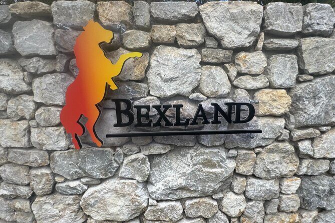 Highland Cow Experience - The Real-World Benefits from Reviews