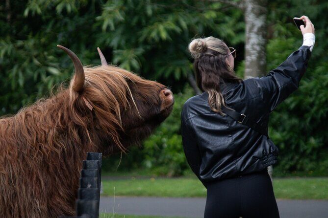 Highlands Cows Glencoe and Castles Private Tour from Glasgow - Who Will Appreciate This Tour?