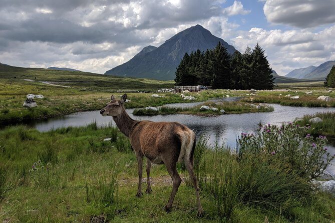 Highlands Private One Day Tour of Scotland - The Itinerary Break-Down