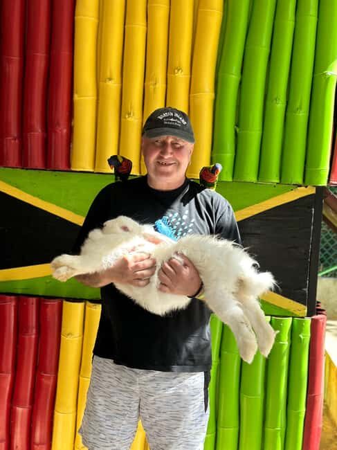 highlight tour bamboo Rafting, Doctor cave beaches - Highlight Tour: Bamboo Rafting & Doctor Cave Beaches in Montego Bay, Jamaica