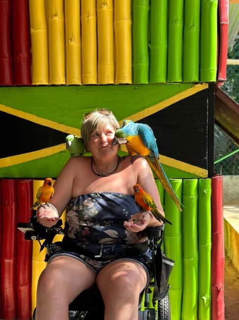 highlight tour bamboo Rafting, Doctor cave beaches - Who Will Enjoy This Tour?