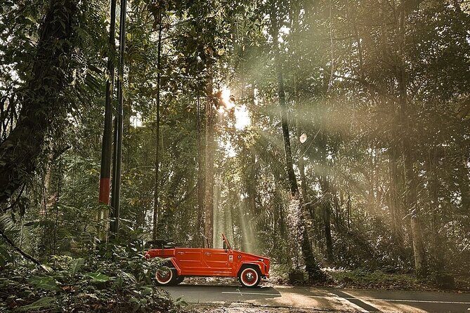 Highlight Ubud Tour in Classic Vintage Volkswagen - The Sum Up