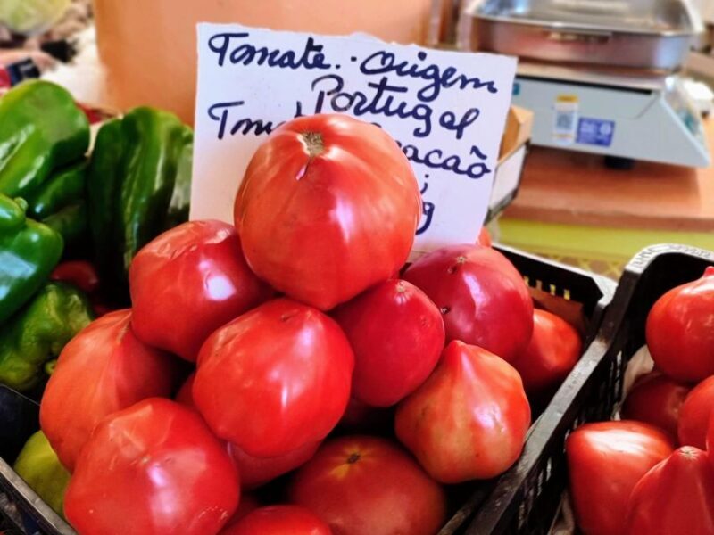 Highlights & Culinary Kickstart of Ericeira | PRIVATE Tour - The Sum Up