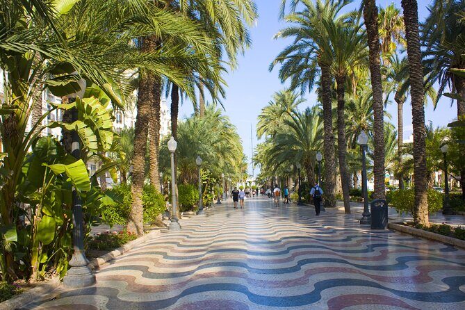 Highlights & Hidden Gems With Locals: Best of Alicante Private Tour - What Travelers Say: Authenticity and Value