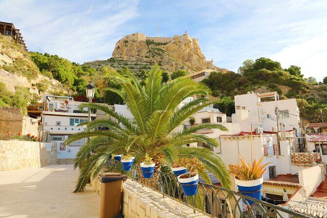 Highlights & Hidden Gems With Locals: Best of Alicante Private Tour - Final Thoughts