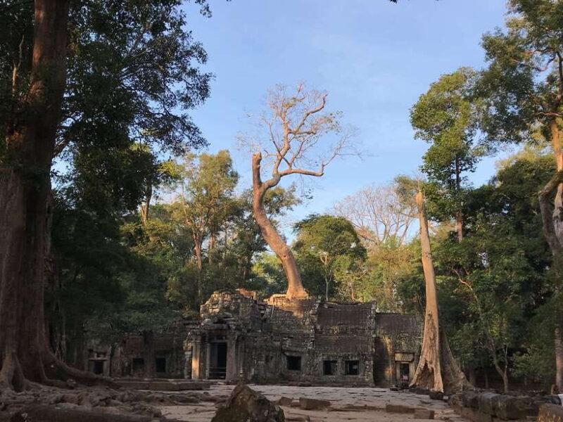 Highlights of Angkor Wat, Ta Prohm & Angkor Thom - What Reviewers Say