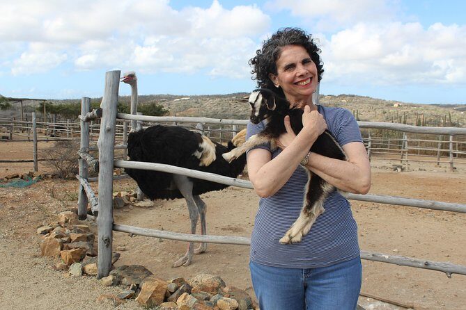 Highlights of Aruba Island Tour - Why This Tour Is a Good Deal