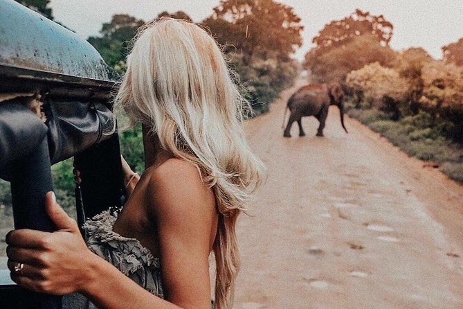 Highlights Of Dambulla & Kaudulla National Park Day Tour From Colombo - Introduction