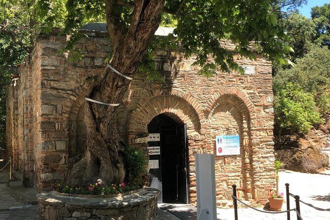 Highlights of Ephesus Tour from Izmir Port / Cruisers only - Detailed Review of the Experience