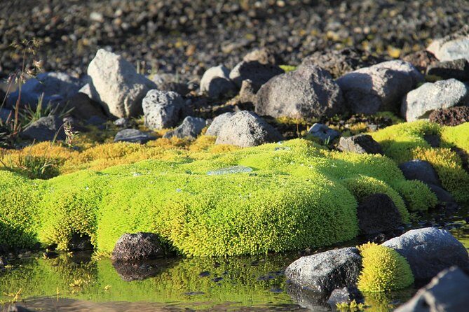 Highlights of Iceland / private guided super Jeep tour - Frequently Asked Questions
