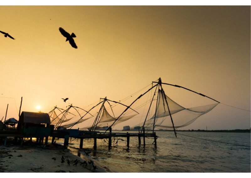 Highlights of Kochi, Guided Half-Day Tour by Car - Key Points