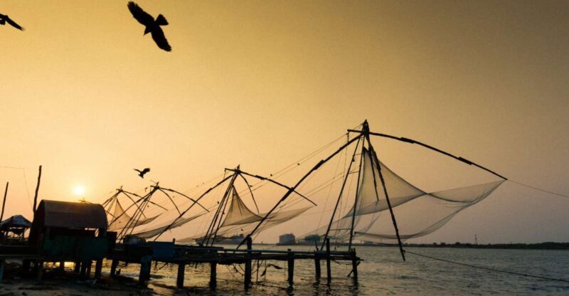 Highlights of Kochi, Guided Half-Day Tour by Car - The Experience of the Guide and Vehicle