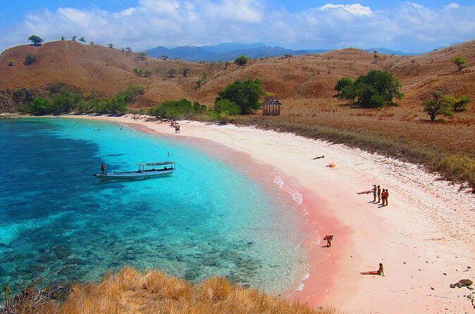 Highlights of Komodo - Who Should Consider This Tour?
