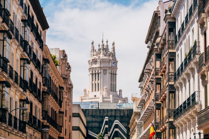 Highlights of Madrid: Walking Tour with Private Guide - Key Points