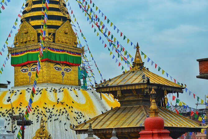 Highlights of Nepal Tour 10 Days - The Itinerary: What to Expect Each Day
