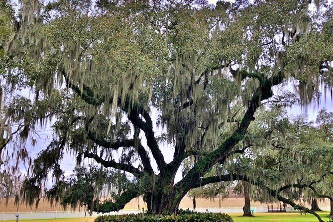 Highlights of New Orleans City and Destrahan Plantation Tour - What Makes This Tour Stand Out?