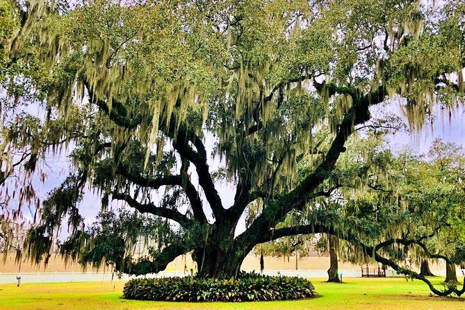 Highlights of New Orleans City and Destrahan Plantation Tour - Practical Details and Value
