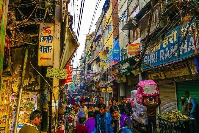 Highlights of Rajasthan Private 18-Day India Tour - Who Is This Tour Best For?