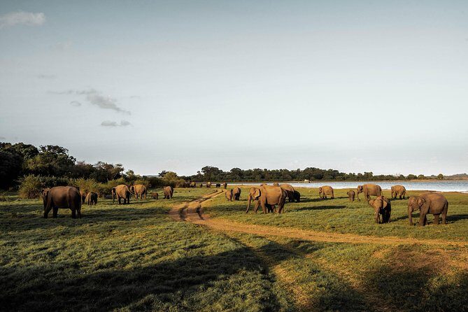 Highlights of Sri Lanka (10 Days) - FAQ