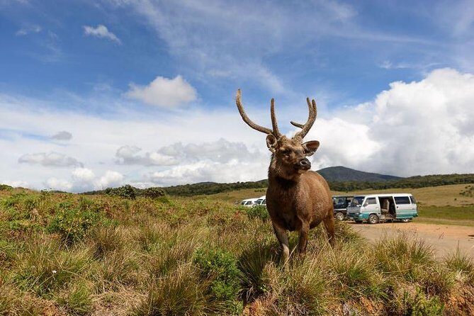 Highlights Of Sri Lanka - 4 Days - Key Points