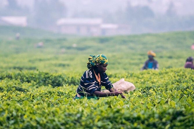 Highlights Of Sri Lanka - 4 Days - The Practical Aspects