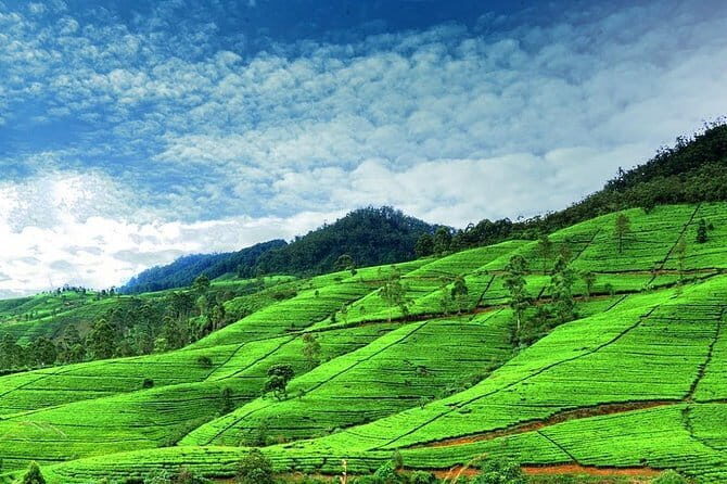 Highlights Of Sri Lanka | 5 Nights 6 Days - Day 1: From Arrival to Kandy’s Cultural Heart