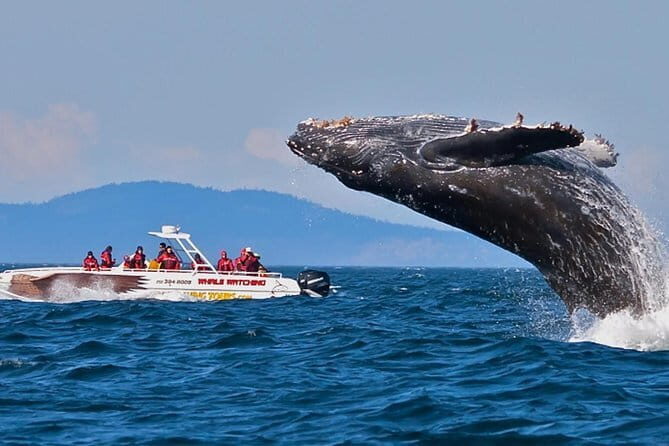 Highlights Of Sri Lanka | 7 Days - Key Points