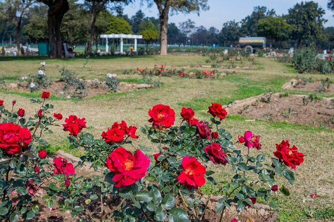 Highlights of the Chandigarh (Guided Half Day City Tour) - A Closer Look at the Itinerary