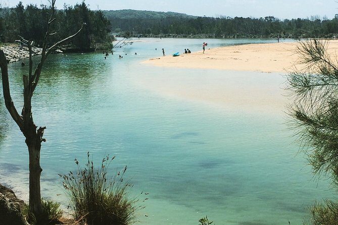 Highlights of the Eurobodalla (half day private tour) - Practical Details: Transportation, Duration, and Comfort