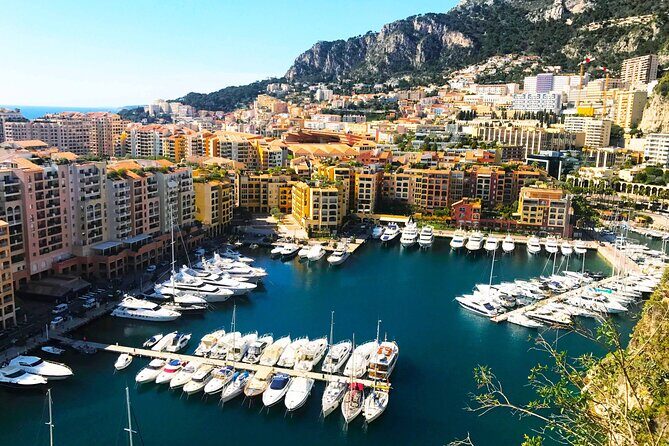 Highlights of the French Riviera - 8hrs Full Day Private Tour - Who Would Love This Tour?