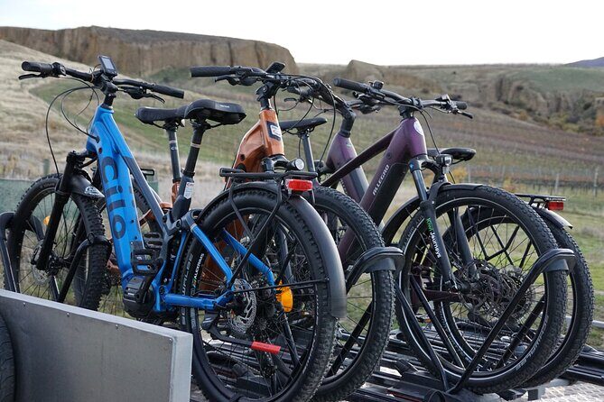 Highlights of the Otago Rail Trail: all-inclusive eBike Tour - Final Thoughts