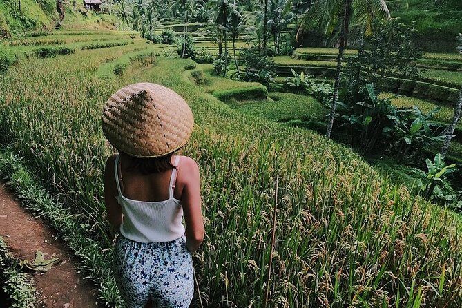 Highlights of Ubud: Nature, Rice Terrace, Waterfall, Temple and more - A Practical Look at the Highlights of Ubud: Nature, Rice Terrace, Waterfall, Temple, and More