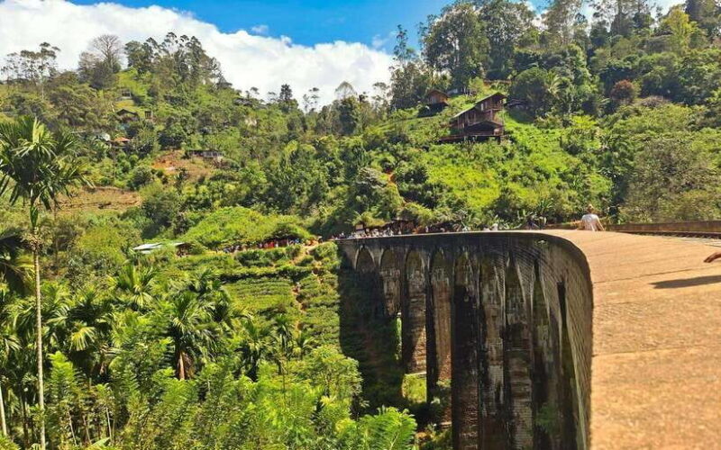 Highlights tour with tasting & Green environment in ella - Key Points