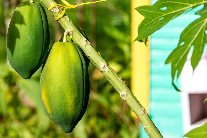 Higuey and River Yuma Full Day Tour with Lunch from Punta Cana - Who Should Consider This Tour?