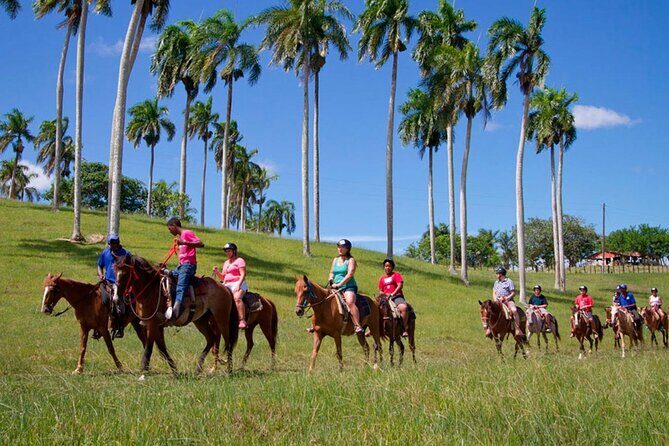 Higuey City Guided Tour from Punta Cana - An In-Depth Look at the Tour